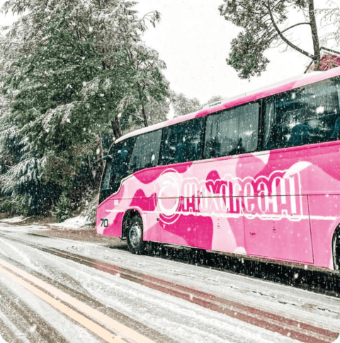 Maxdream - Sentite MAX | Con Maxdream tenés dos viajes de egresados.